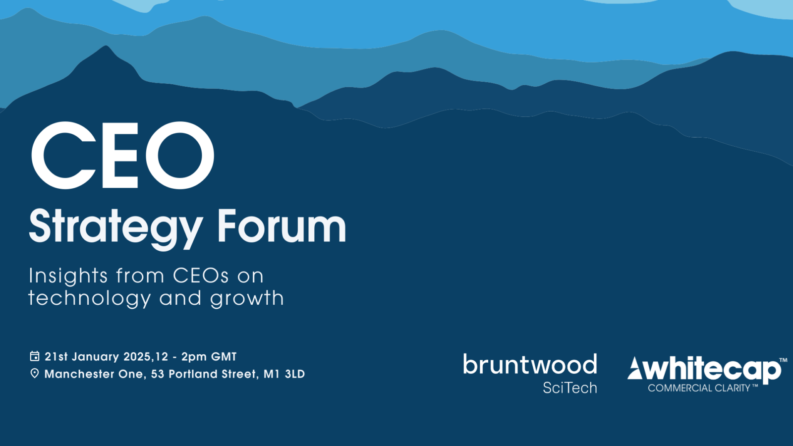 Home - Strategy & Commercial Consultancy Whitecap Consulting