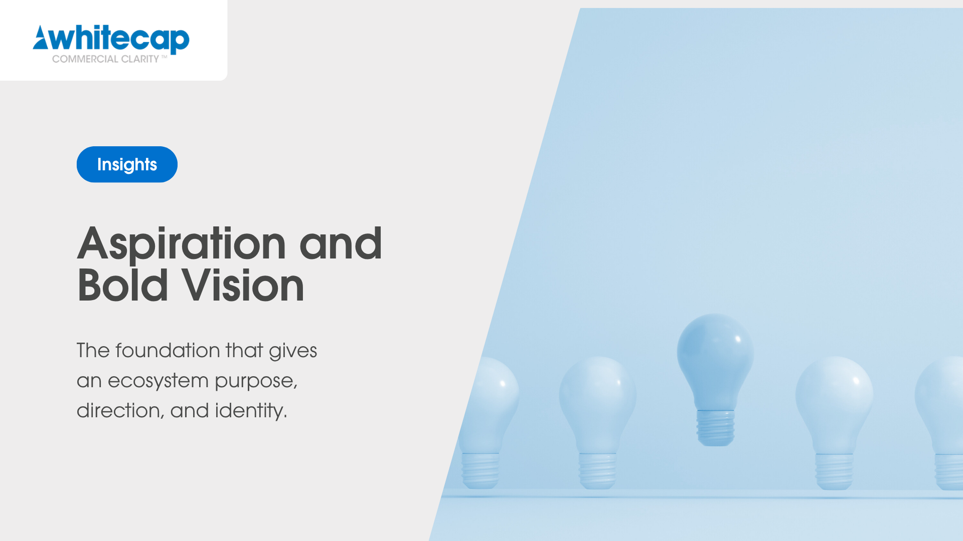 Aspiration and Bold Vision: Building Innovation Ecosystems